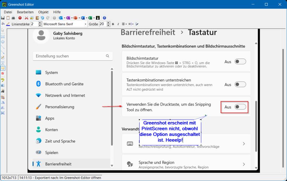 Greenshot-Tastenkombinationen reparieren - onlinepc.ch