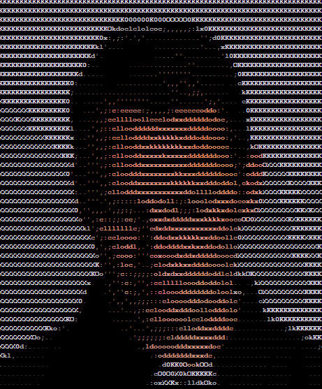 ASCII-Arts per Facebook-Easteregg erstellen - onlinepc.ch